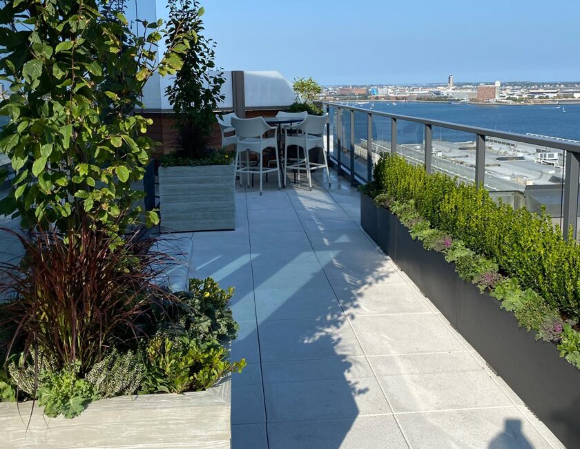 Seaport Terrace - Potted UP